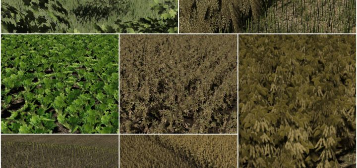 Mod Corn and Soybean Textures v1.0 - Farming Simulator 22 mod, LS22 Mod ...