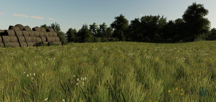 LS 19 Textures - Farming Simulator 19 mods, LS19 / FS19 mods